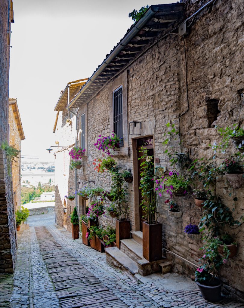 5 June: Spellbound in Spello – When the Cat's Away…