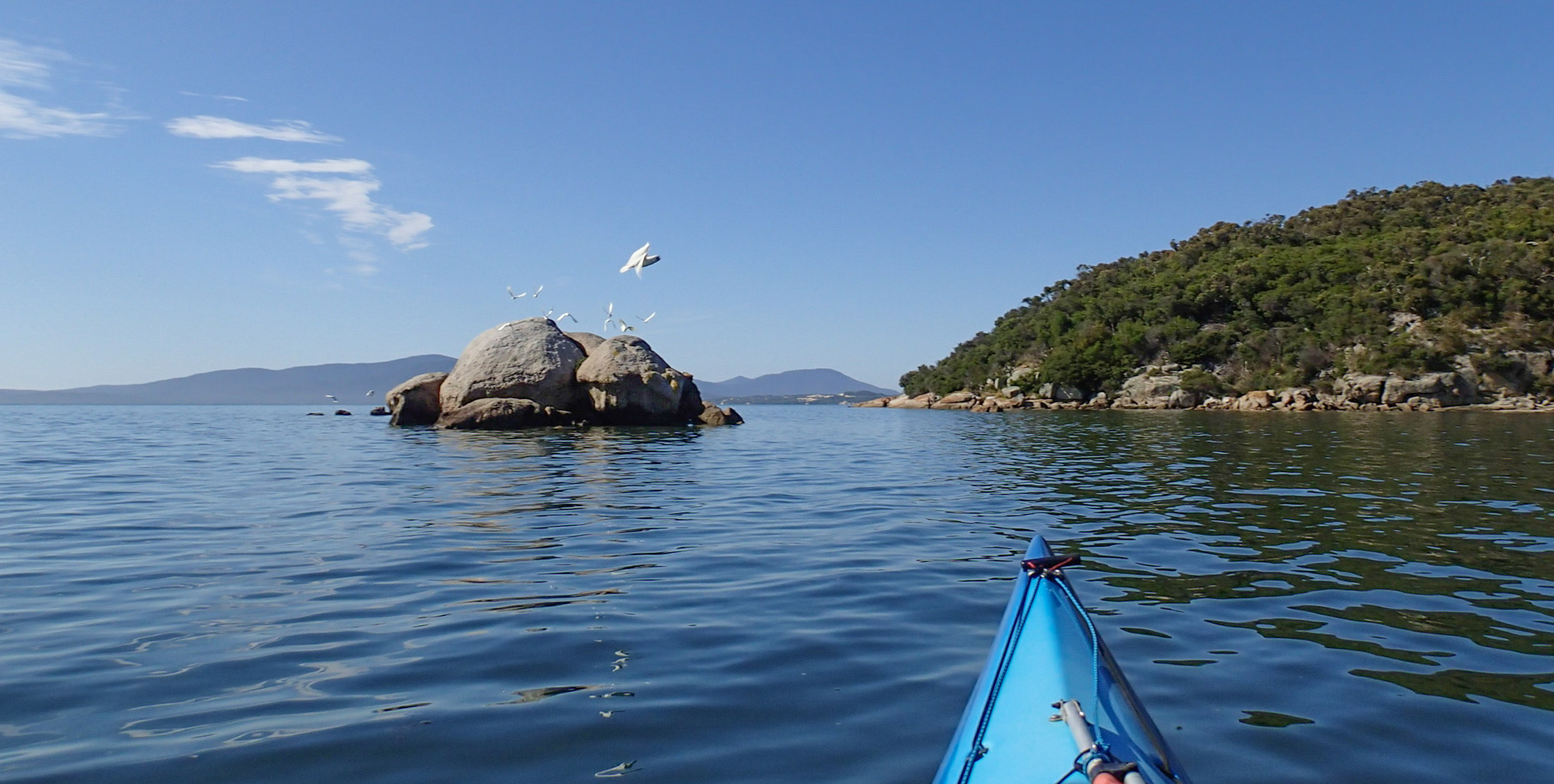 25-26 November: Exploring Wilsons Promontory – When the Cat's Away…