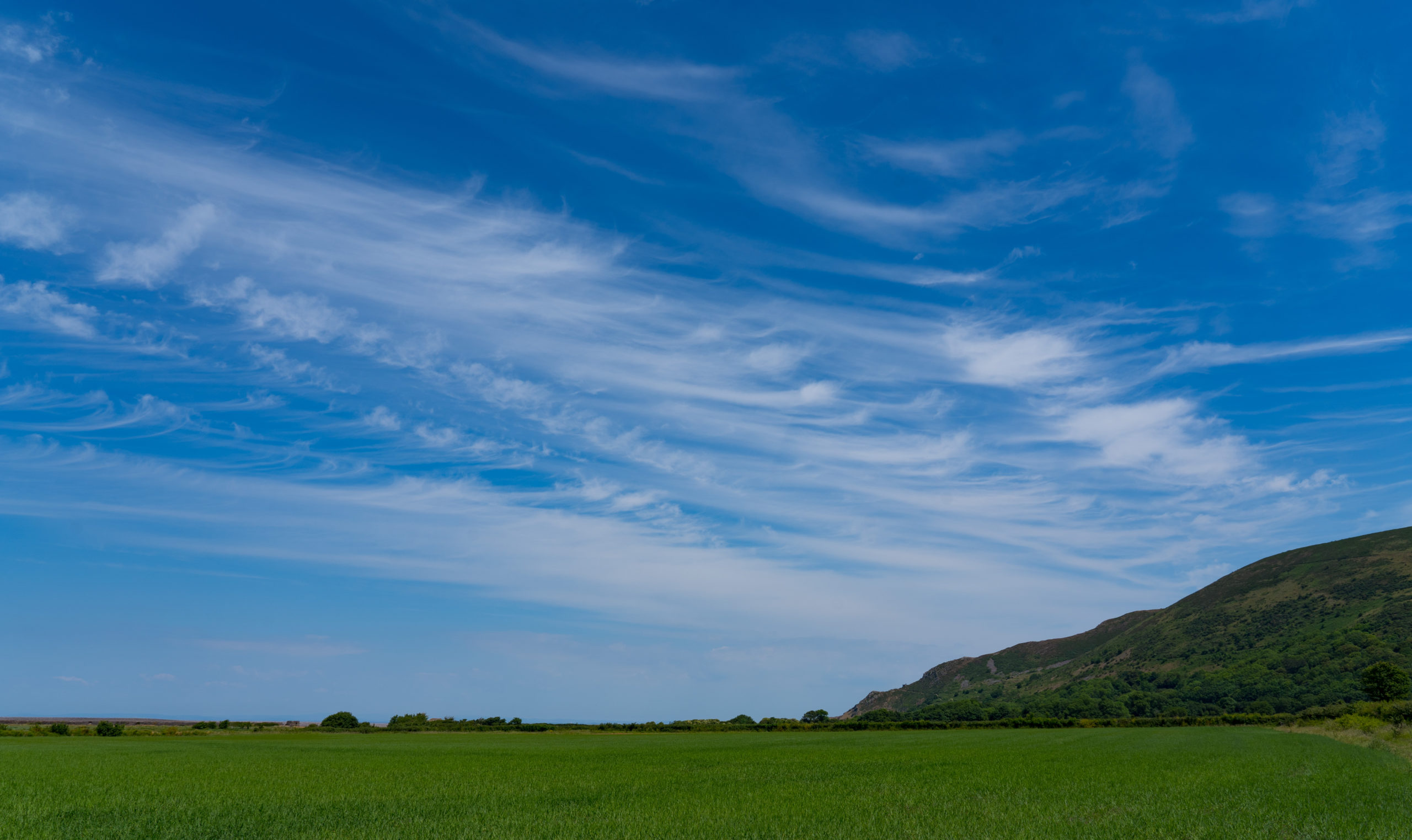 2-9 June: Finally the weather changes – When the Cat's Away…